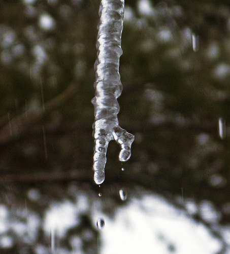 14. Icicle - can be more than one icicle in the photo, but… | Flickr