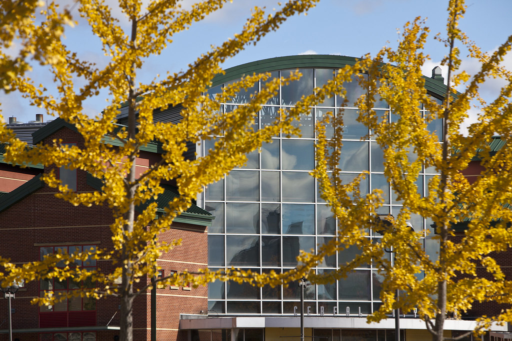 Autumnal Leaves Framing a Glass-Facade Campus Building
