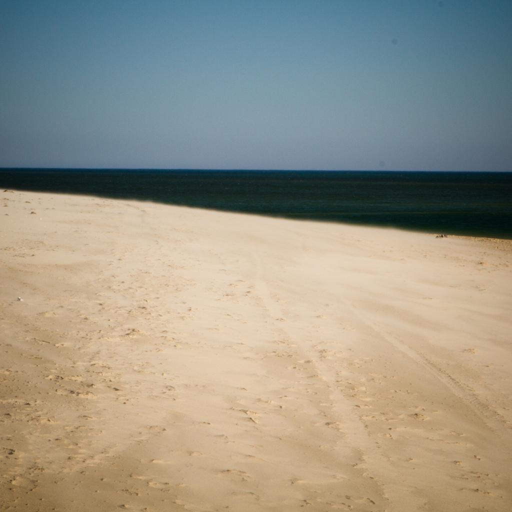 Toward the Atlantic: Wind-sculpted Dunes on the Iberian Shore