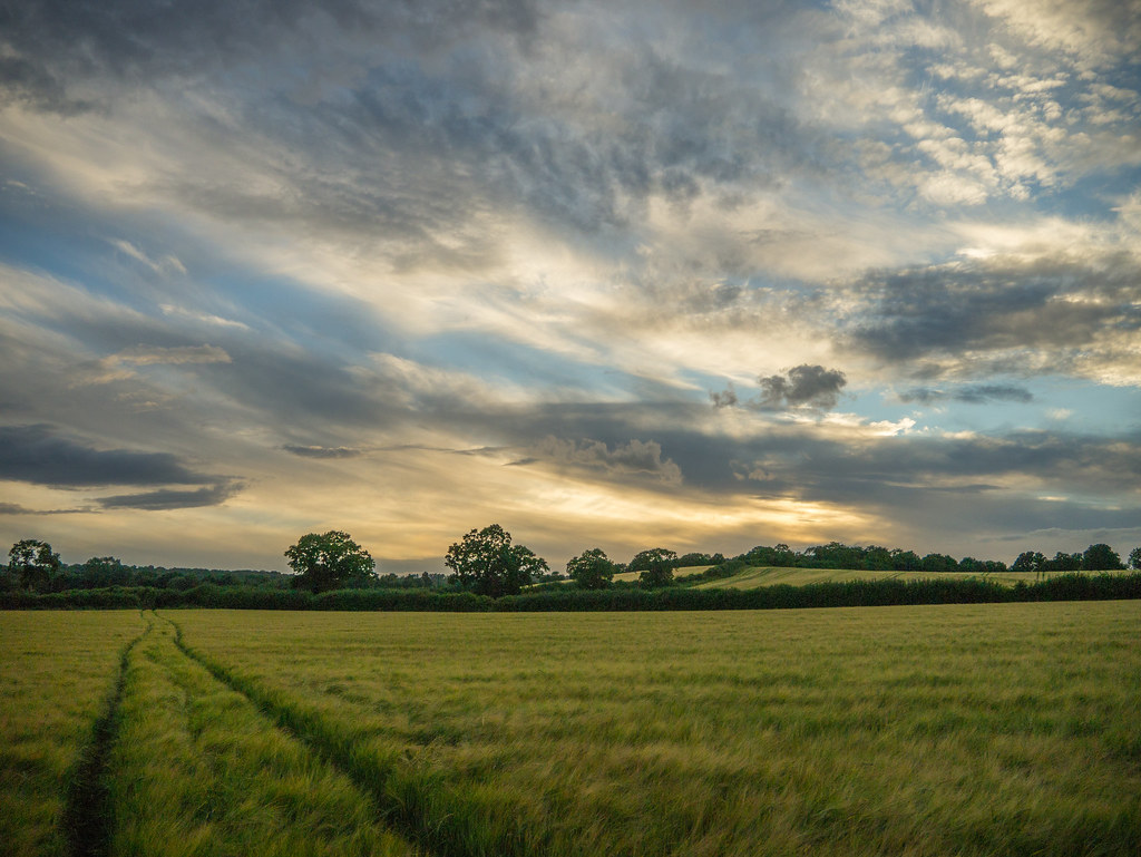 Cofton Hackett, UK | en.wikipedia.org/wiki/Cofton_Hackett | DBayliss ...