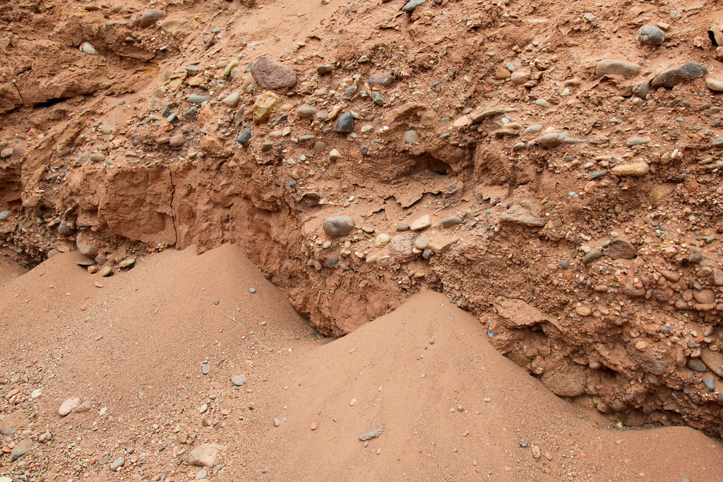 Sand Time: Exposed Red Sand and Pebble Stratigraphy along a Dune Face