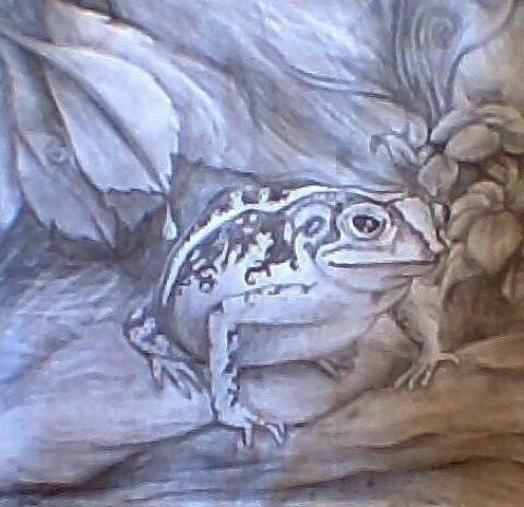Fibonacci Frog | My signature drawing | Bethany Dale | Flickr