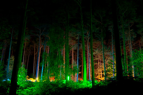 Electric Forest | Illuminated trees at Electric Forest 2011 … | Flickr