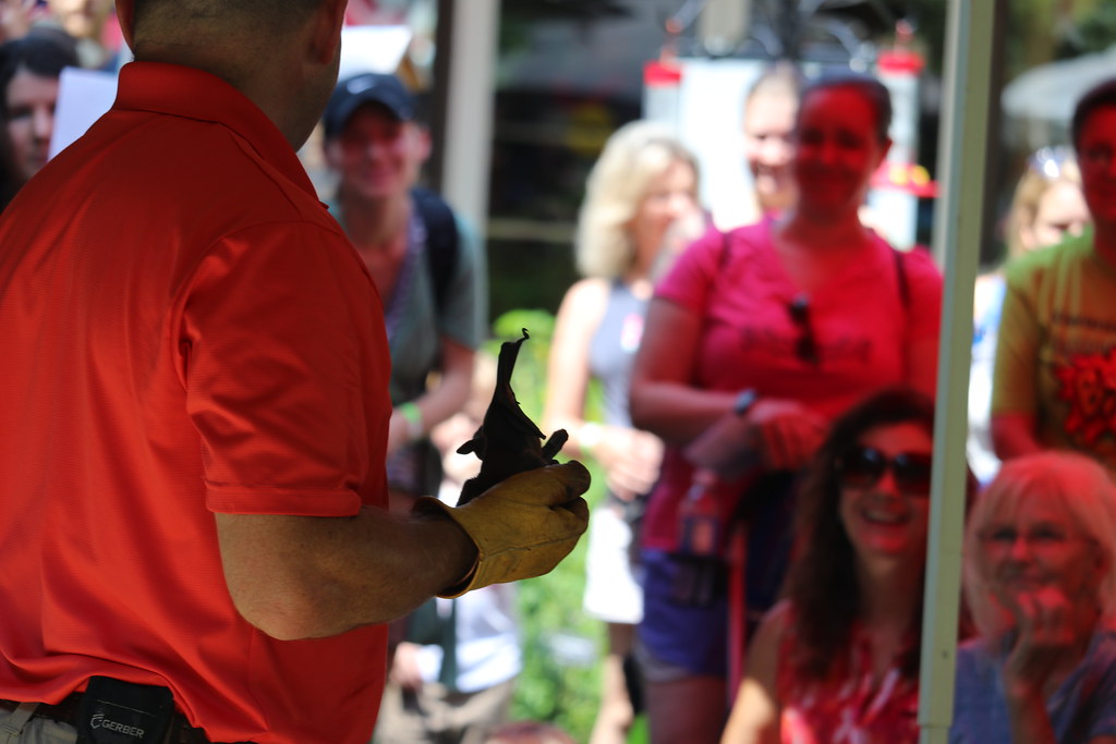 Orange-shirted staff member demonstrates a small creature to visitors during Cool Critters Day at Woodlands Nature Station, Land Between the Lakes