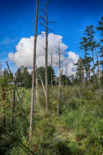 Colonial National Historical Park | Flickr