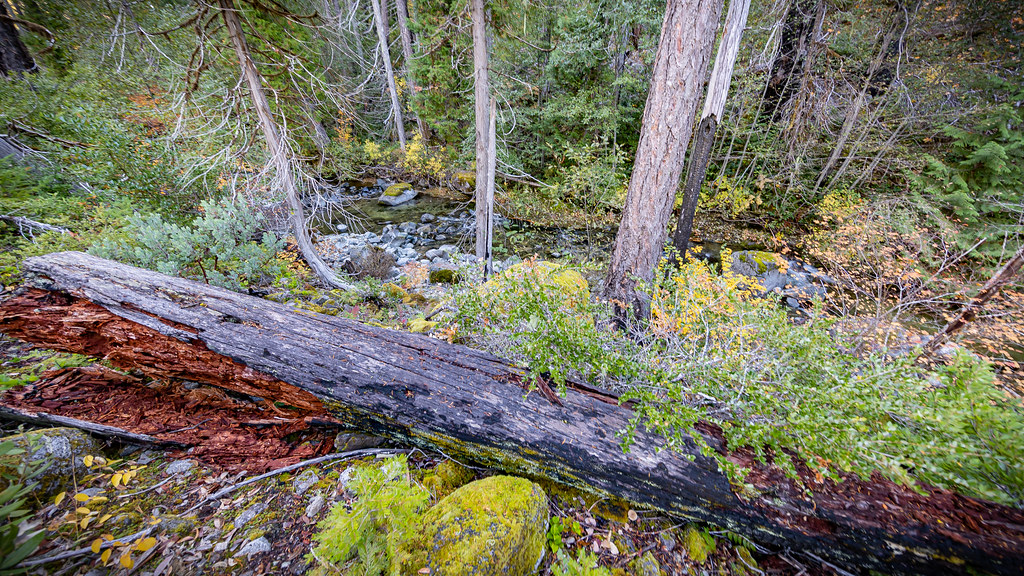 North Fork Silver Creek Wild & Scenic River