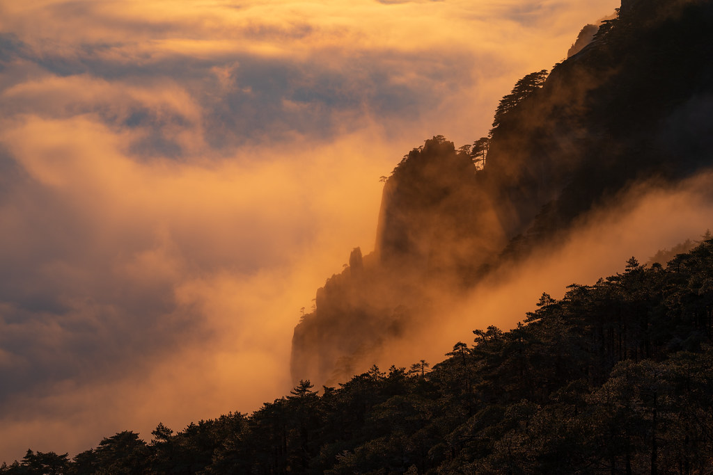 Golden Hour Mist on Huangshan Ridge: Pine Silhouettes in Sunset