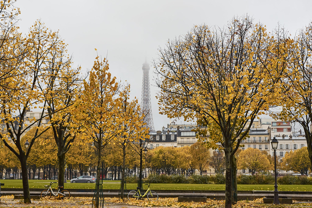 Autumnal Paris Park Framing the Eiffel Tower in Mist