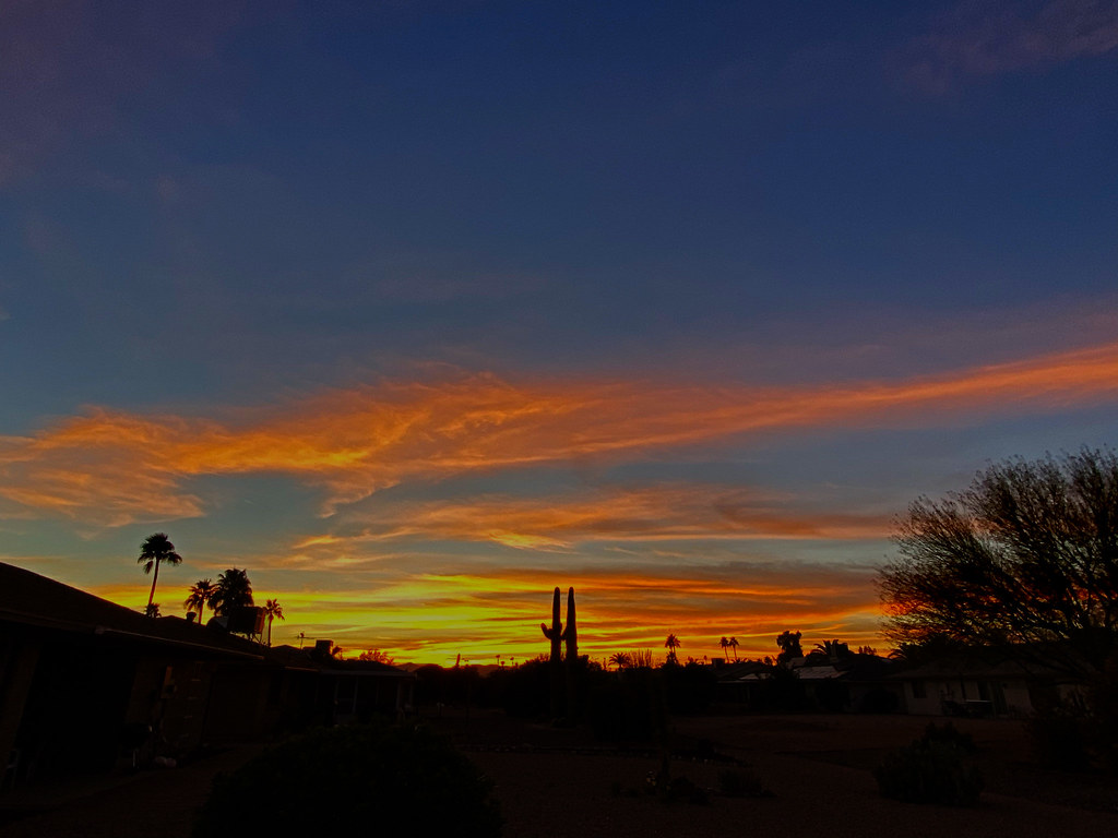 Seldom is Heard, A Discouraging Word | Bob Davidson | Flickr