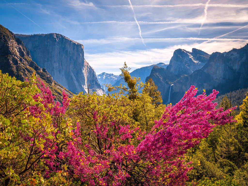 Tunnel View Yosemite National Park Spring Wildflowers & Wa… | Flickr