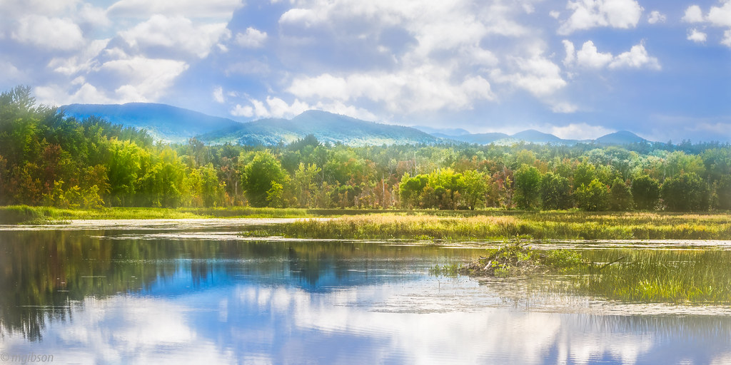 WMA | Stands for wildlife management area. These are lands, … | Flickr