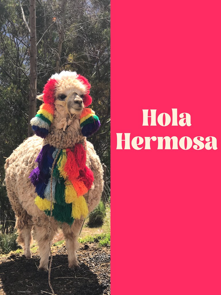 Hola!, hermosa! | EXPRESATE A TI MISMA DE FORMA CREATIVA CAD… | Flickr