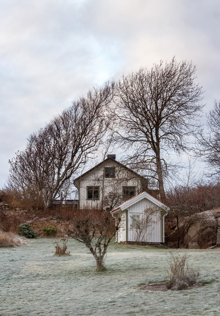 White House Framed by Wind-Swept Trees in Holländaröd, Lysekil Municipality, Sweden