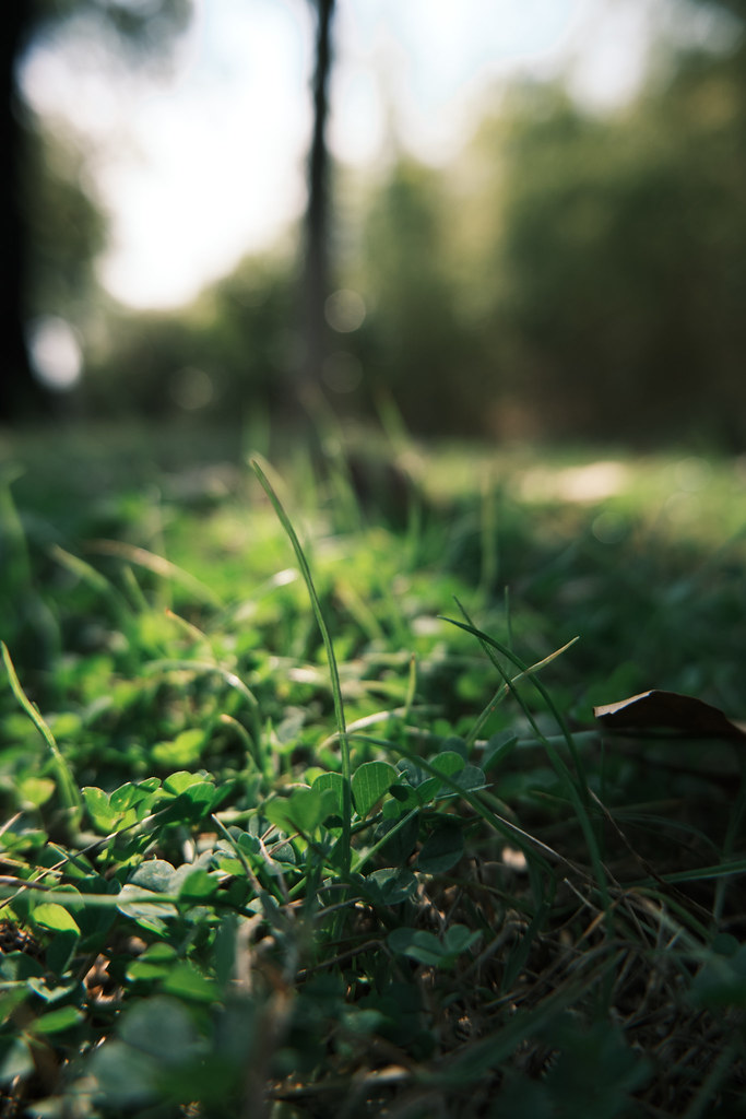 collections | Liu Liam | Flickr