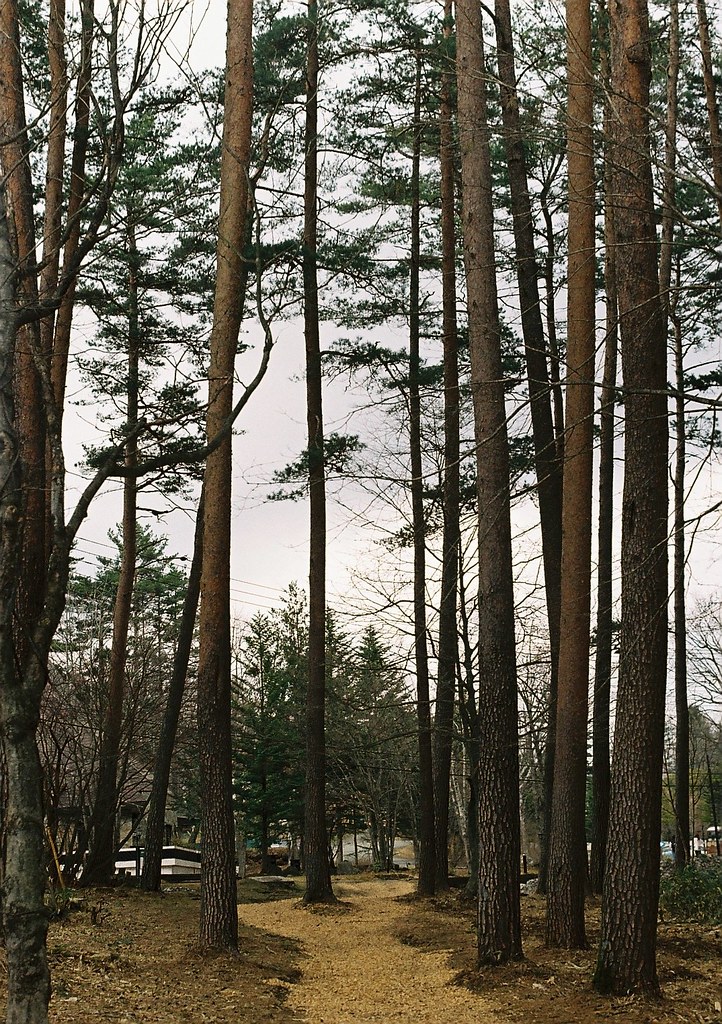 fphoto23-1 | Donald Macinnes | Flickr