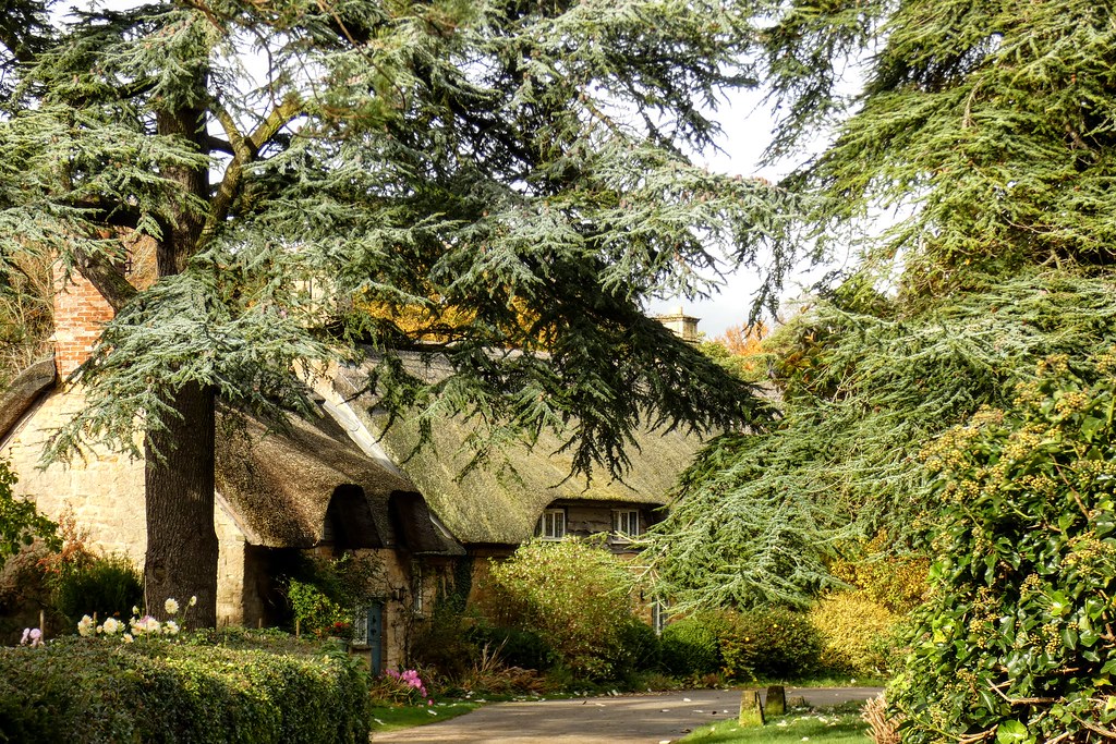 Thatched Cottages | Frances Shuttlewood | Flickr