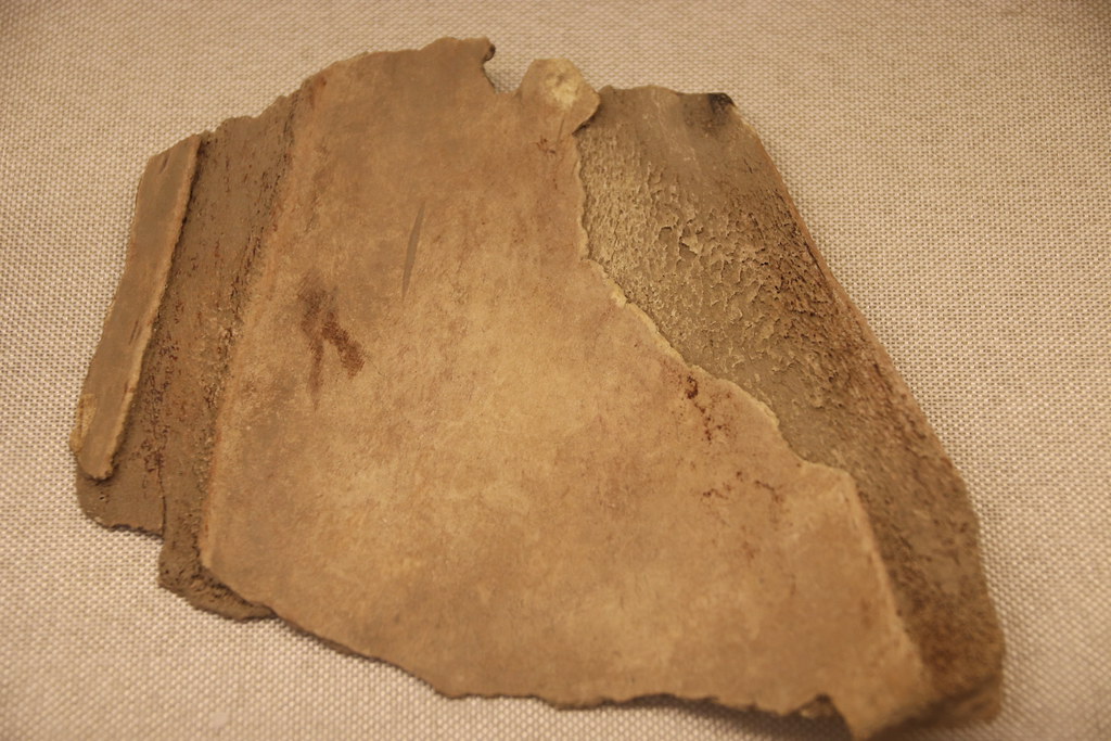 Shang Dynasty Oracle Bone Fragment | Anyang Normal Universit… | Flickr