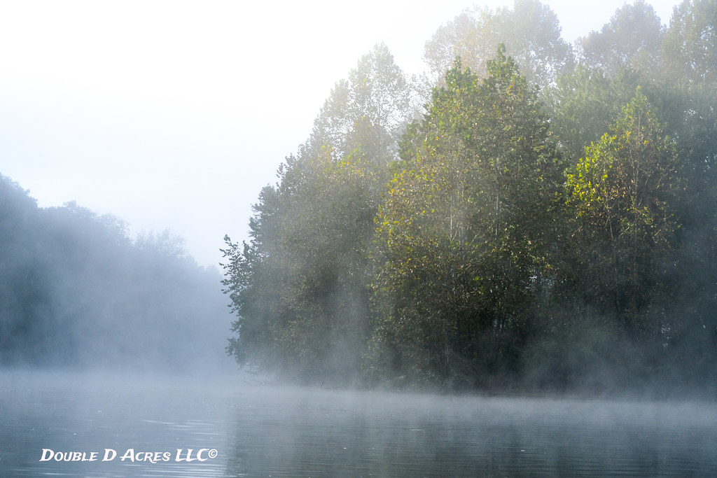 DSC_0001 | Fog rising on the Bourbeuse River near Union, MO.… | Doyle ...