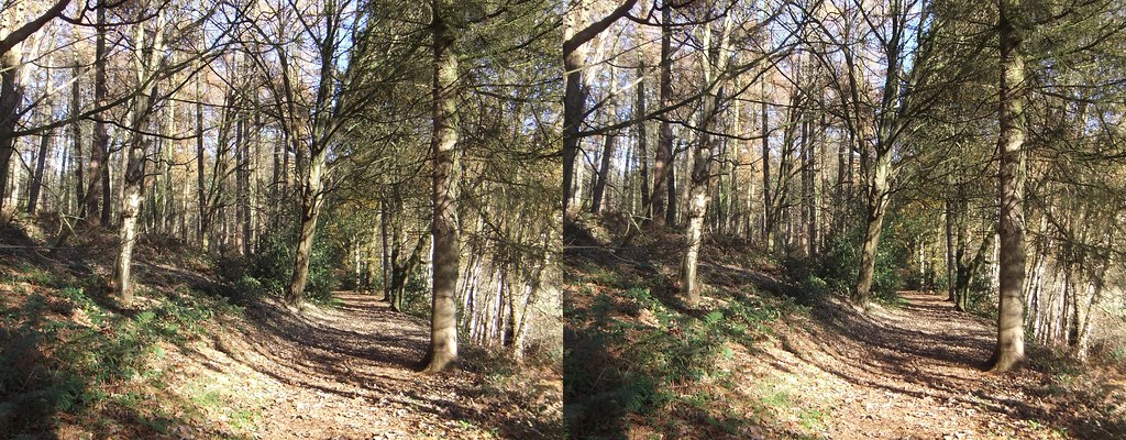 Blithfield walks 3 | Nigel Dibb | Flickr
