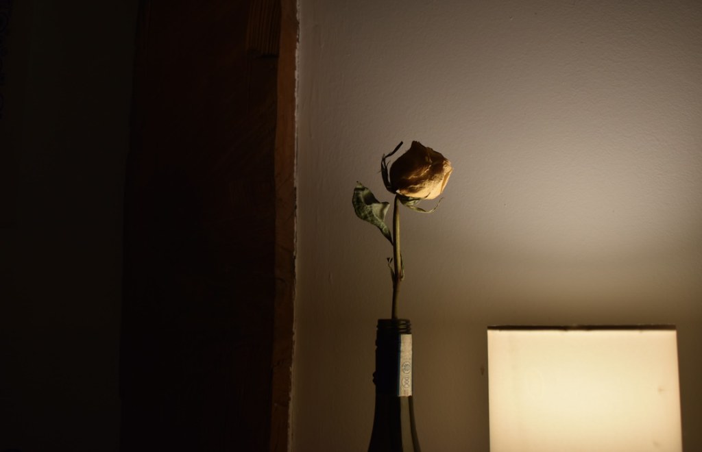 Assignment 3 Flickr 1397