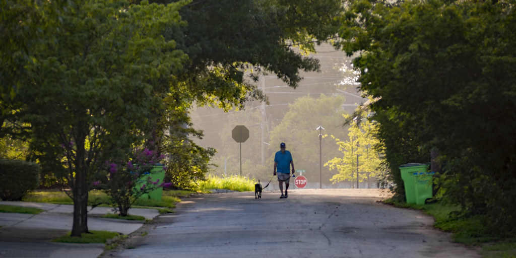 Morning stroll on a tree-lined Avondale Estates street, Georgia — man and small dog in dappled sunlight