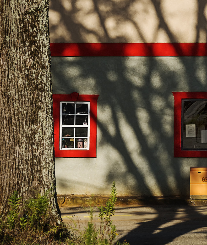 Tree-Shadowed Wall with Red-Framed Windows under Late Afternoon Light, Avondale Estates, Georgia