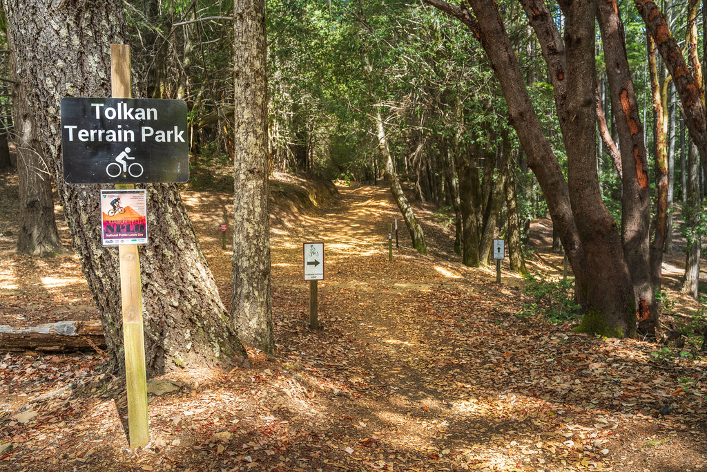 Tolkan Terrain Park Trailhead, King Range NCA — Forest Bike Trail Through Lost Coast Woods