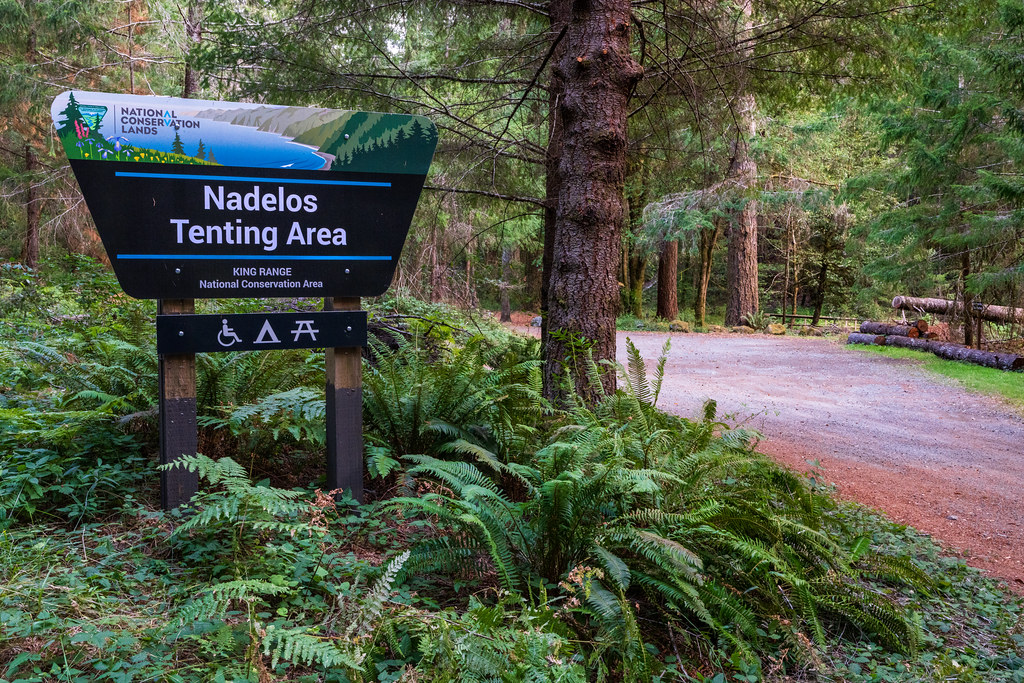 Nadelos Tenting Area Sign at King Range NCA, California — Forested Approach to a Coastal Camping Zone