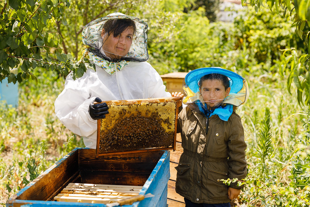Bees and family at a Moldova hive: beekeeper and child inspect a honeycomb frame in bright sun