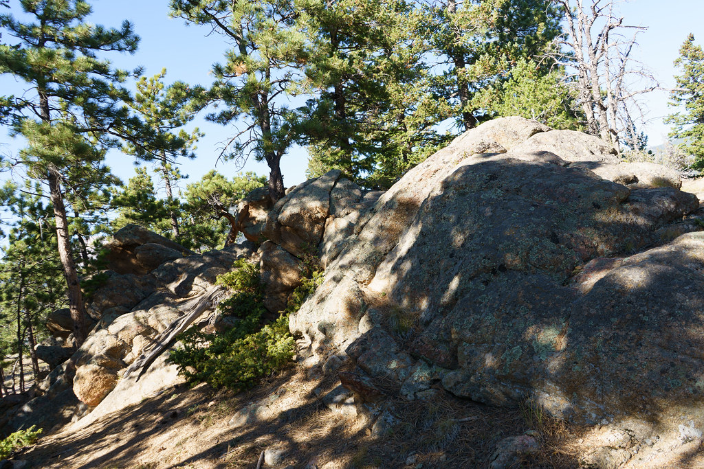 Sunlit Granite Boulders on a Pine-Forest Slope in a Rugged Alpine Landscape
