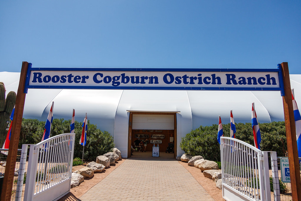 2025 Cogburn Ostrich Ranch | Flickr