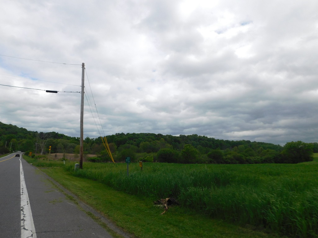 New York State Route 343 | Amenia, New York | Adam Moss | Flickr