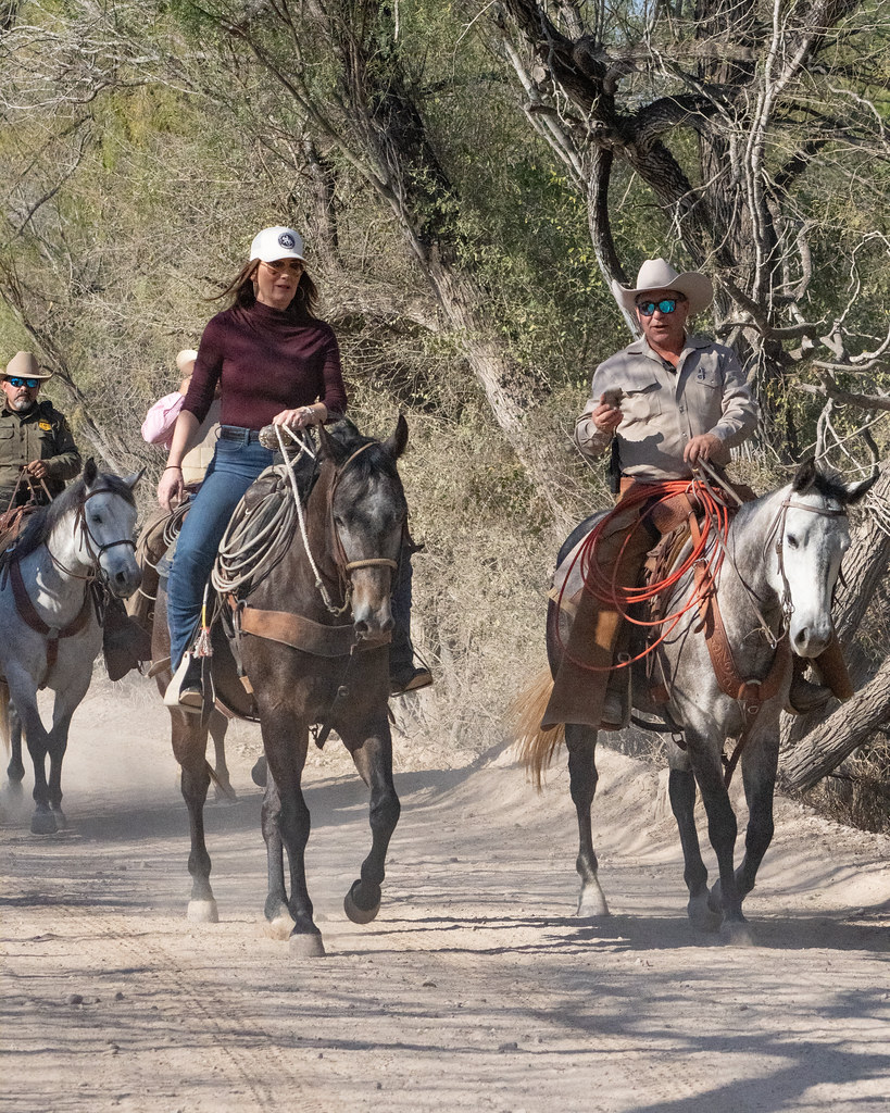 Dusty Trail Ride: Horseback Riders on a Tree-Lined Dirt Road