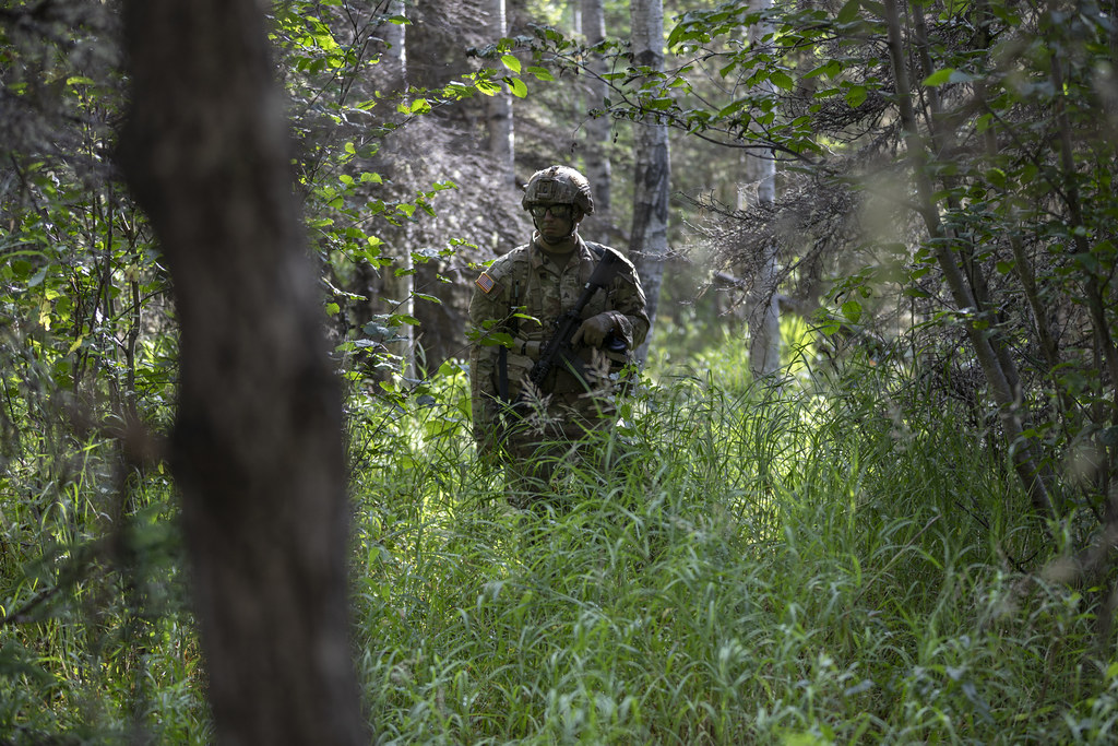 Alaska Army National Guard Soldier Navigates Dense Forest During Infantry Advanced Leader Course Field Training at Joint Base Elmendorf-Richardson