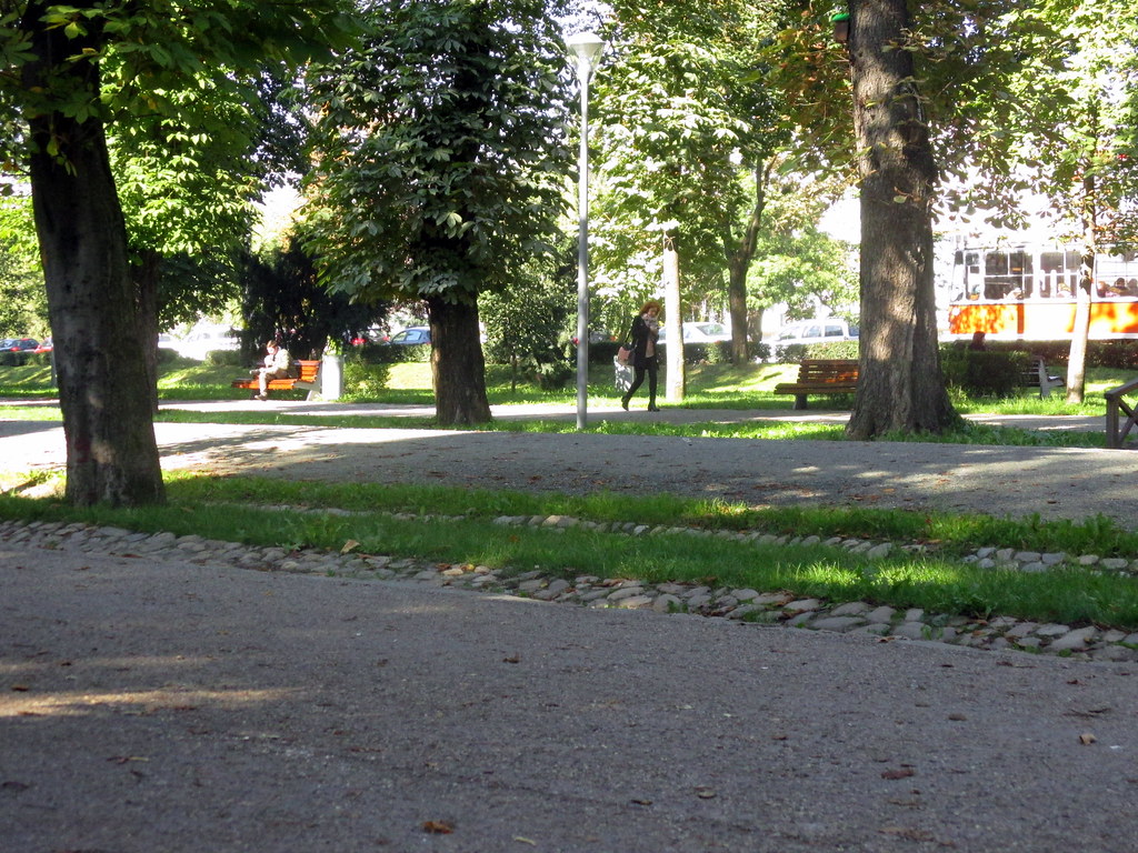 Cluj-Napoca Central Park | Parcul Central „Simion Bărnuțiu” … | Flickr