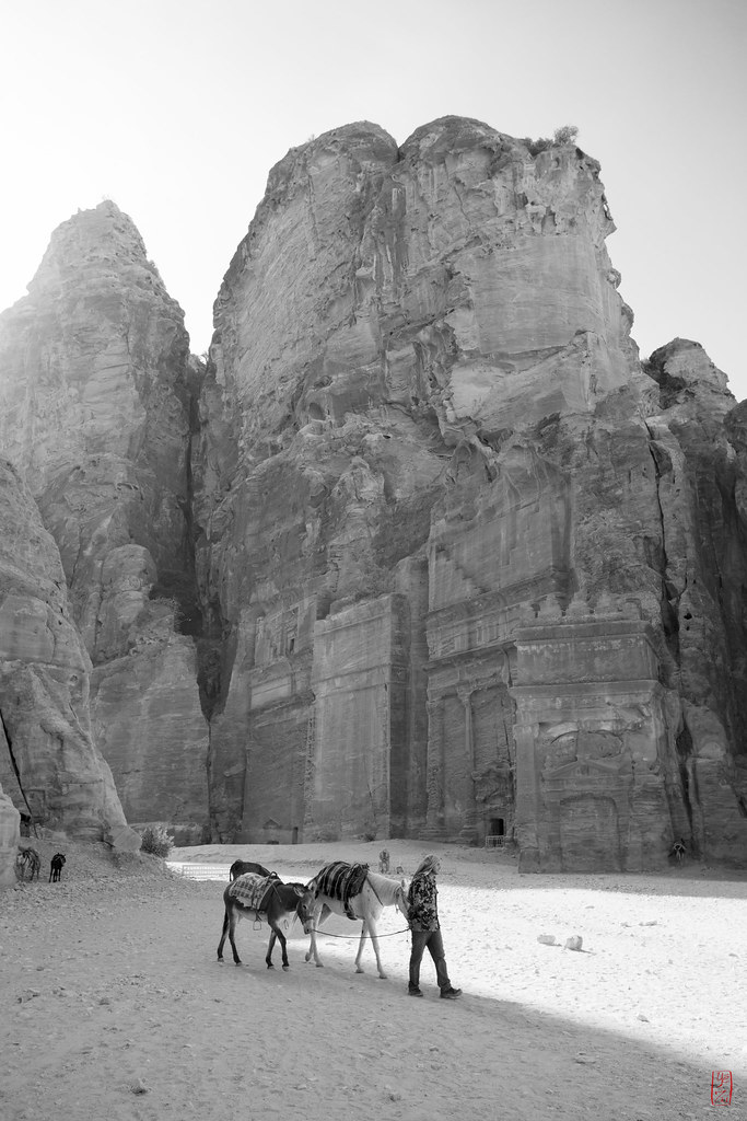 Mules and their Handler Before Petra’s Giant Rock-Cut Facade, Jordan