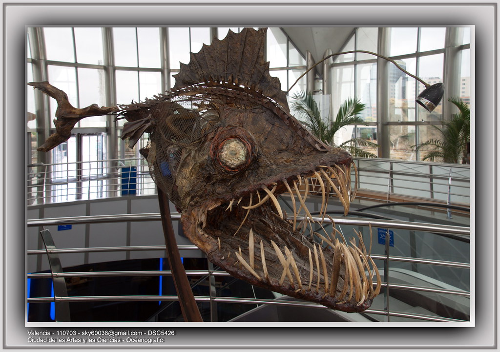 Provincia Valencia, Valencia, Aquarium & musée Océanografi… | Flickr
