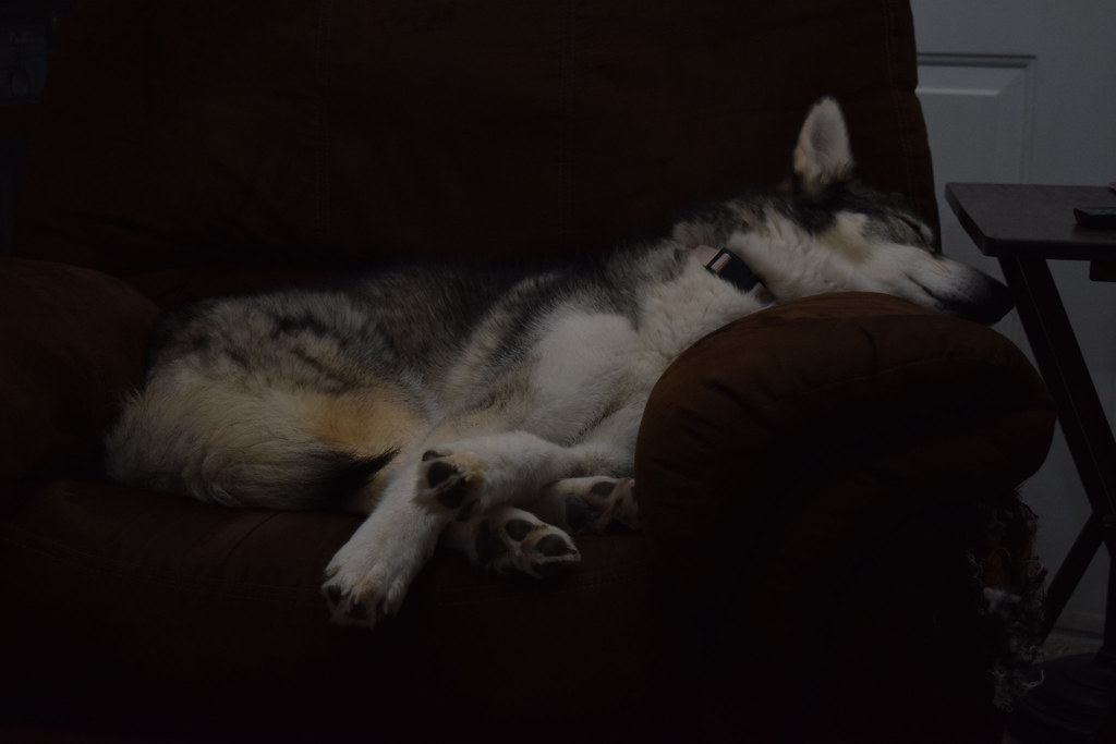 Libby Flickr