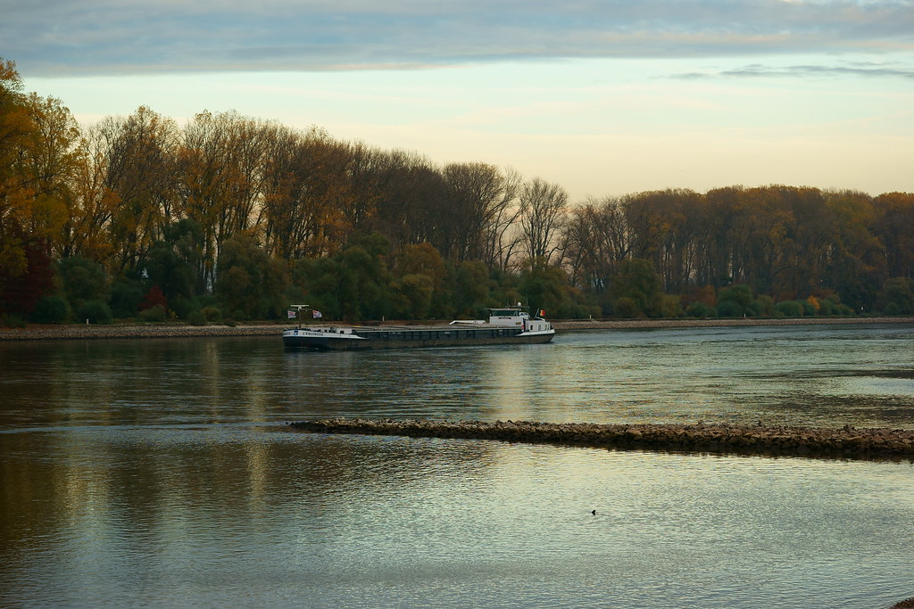 MS L'ÉQUINOXE on the Rhine in autumn sunlight