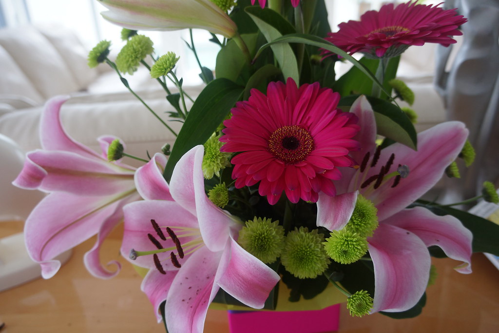 Flower Study: Pink Oriental Lilies Intertwined with Magenta Gerbera and Pom-Pom Chrysanthemums