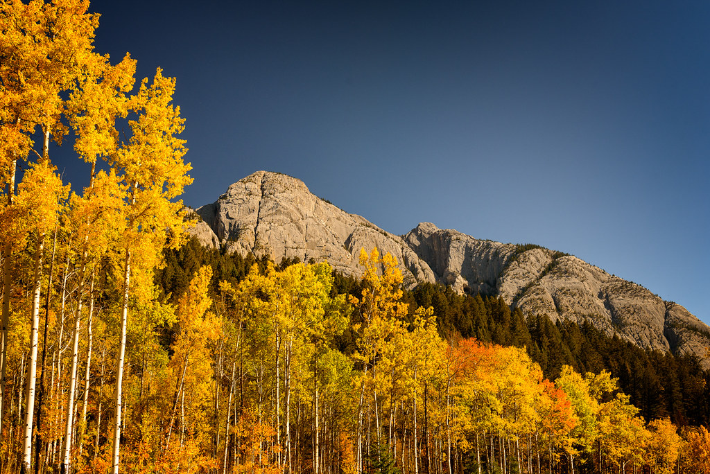 Bow Valley Fall Colors | Fall colors along the Bow Valley Pa… | Flickr