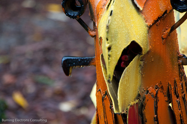 Stephen Lasky | Flickr