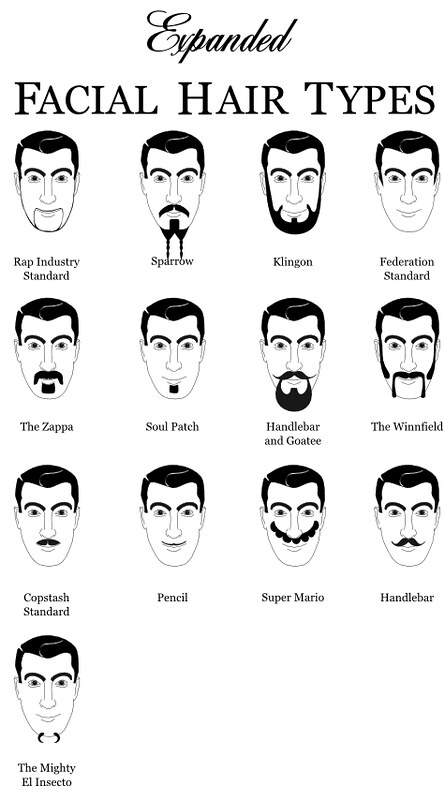 Facial Hair Types Chart
