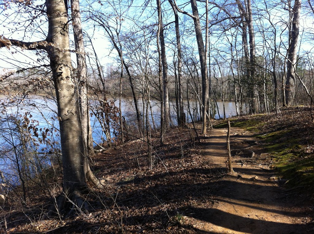 Gold Branch Trail | TranceMist | Flickr