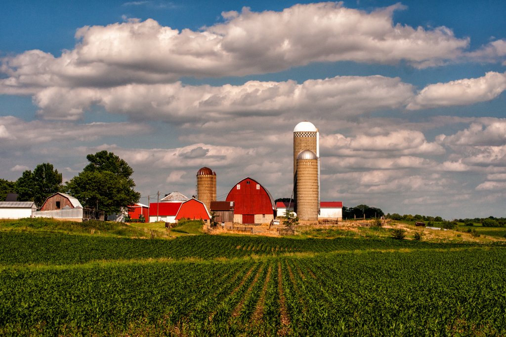 Iowa Farm Mixed Art & Collectibles trustalchemy.com Iowa Farm Mixed Art & Collectibles trustalchemy.com