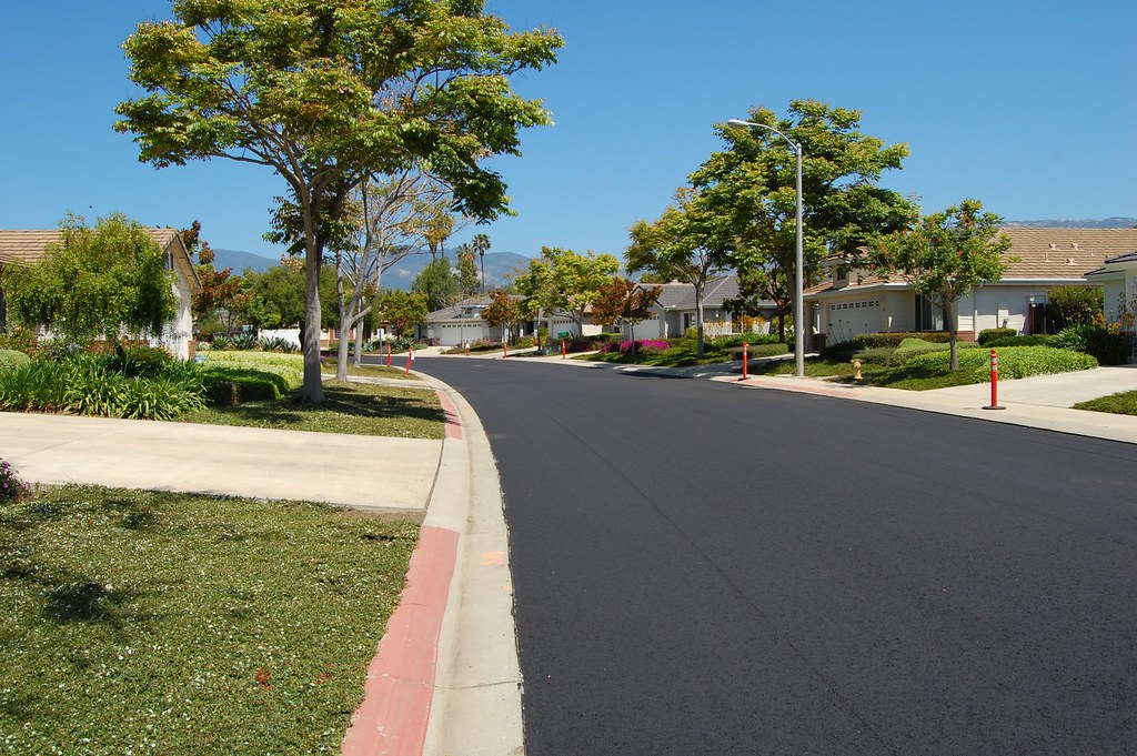 Curved Tree-Lined Suburban Street Framing Quiet Homes Under Bright Daylight