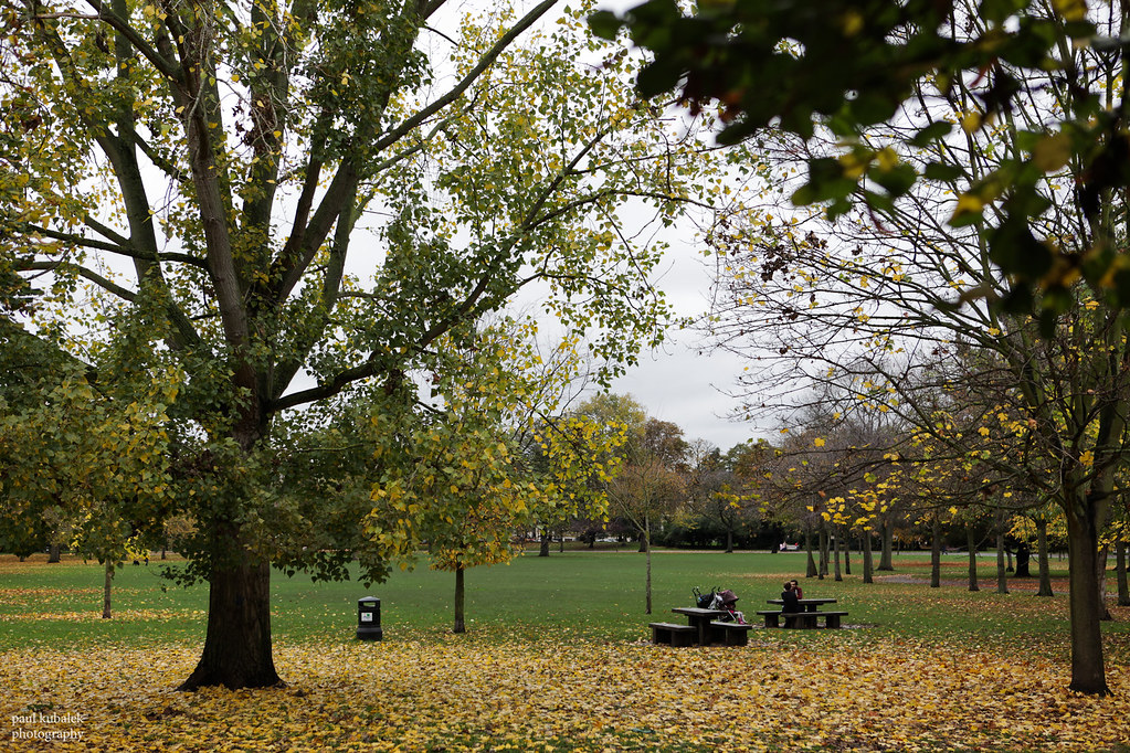 Autumn Calm in Victoria Park, London: a quiet moment among fallen leaves and benches
