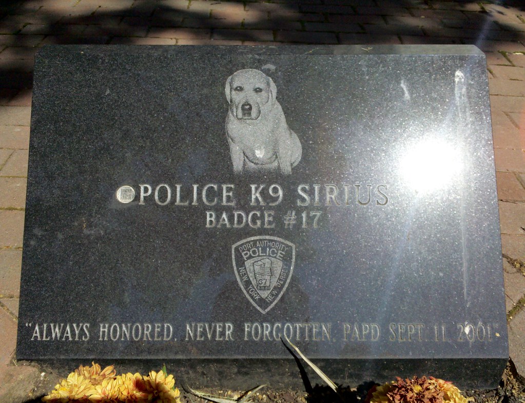Sirius 911 Dog