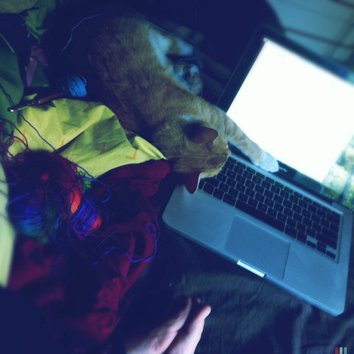 kitty cuddles computer and crochet | Cavale Doom | Flickr