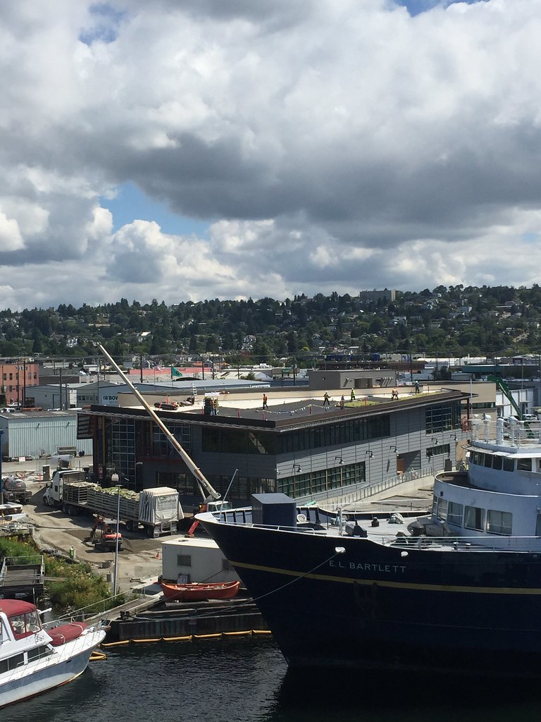 Seattle Maritime Academy Green Roof Installation July 2016… | Flickr